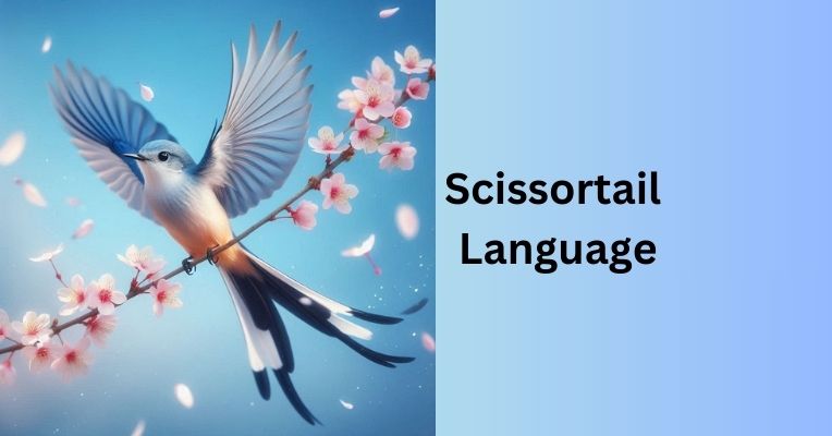 Scissortail Language - English Language School